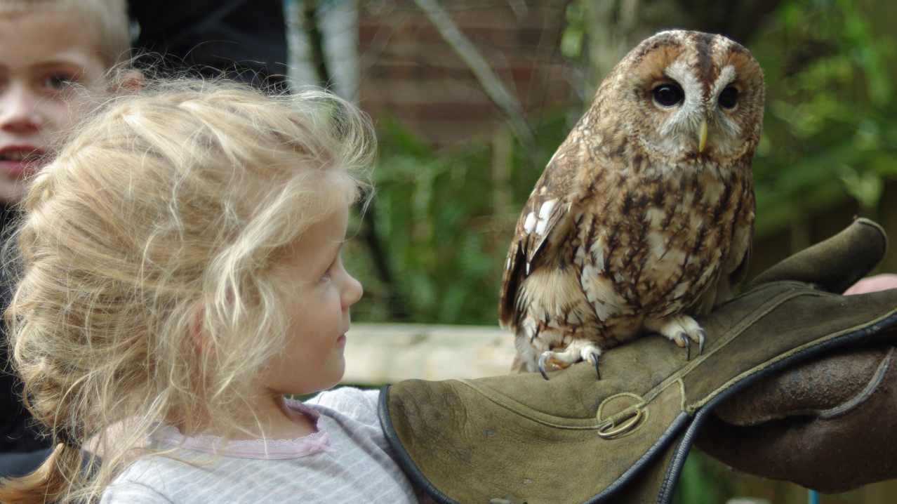 Tropical Butterfly House | Day Out With The Kids