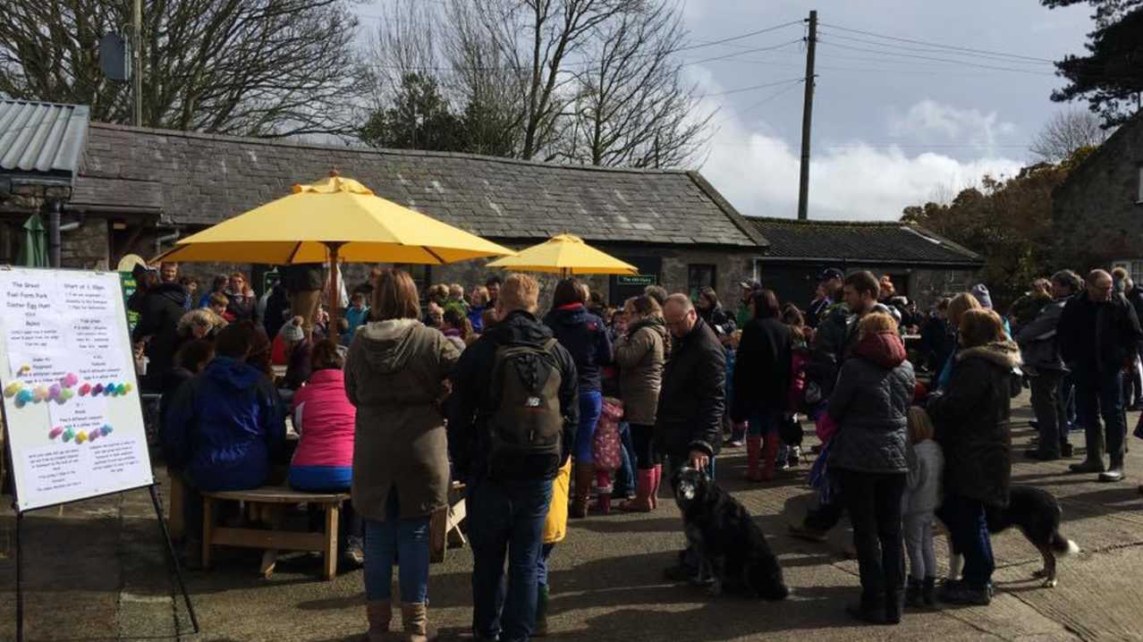Foel Farm Park | Day Out With The Kids