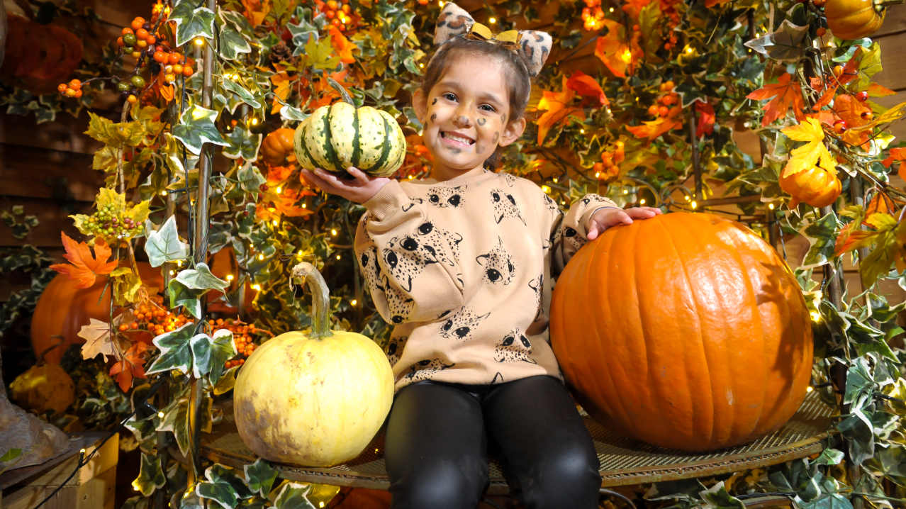 Willows Activity Farm - The Ultimate Family Day Out