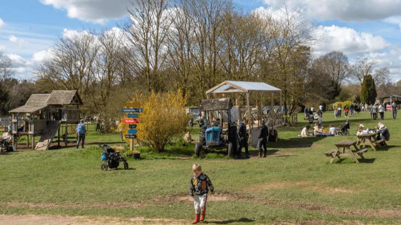 Cholderton Rare Breeds Farm | Day Out With The Kids