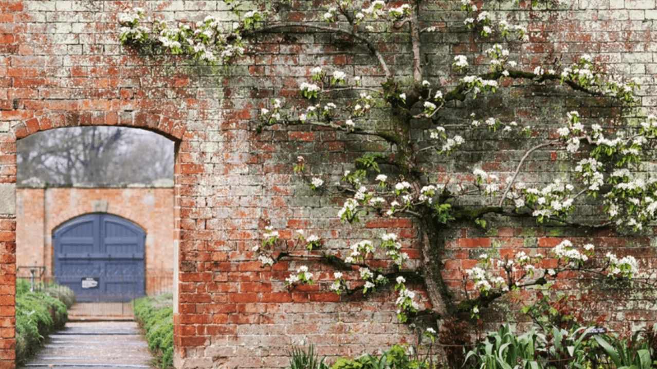 Attingham Park | Shropshire | UK's No. 1