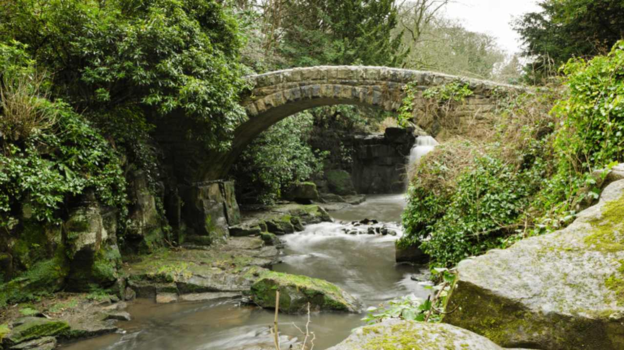 Jesmond Dene All You Need To Know Jesmond Dene All You Need To Know