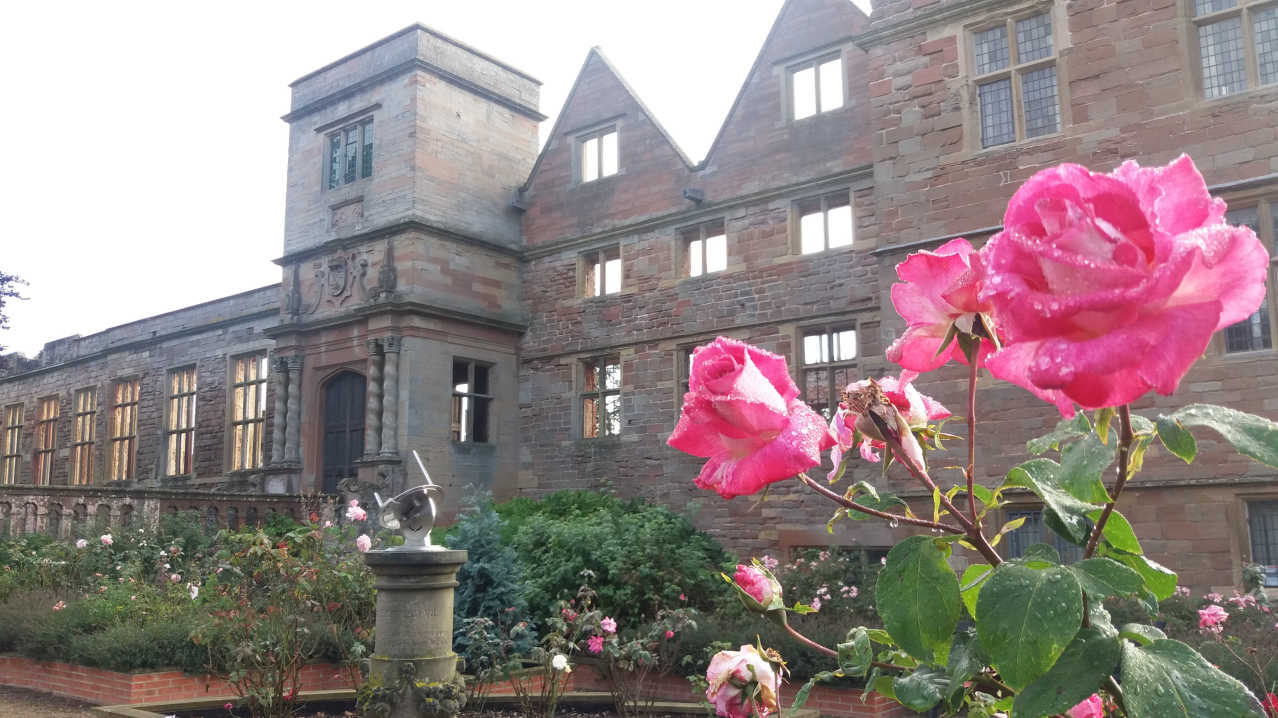 Rufford Abbey Country Park | Day Out With The Kids