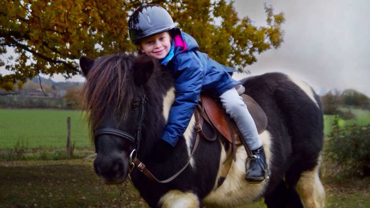 Shetland Pony Club | Day Out With The Kids