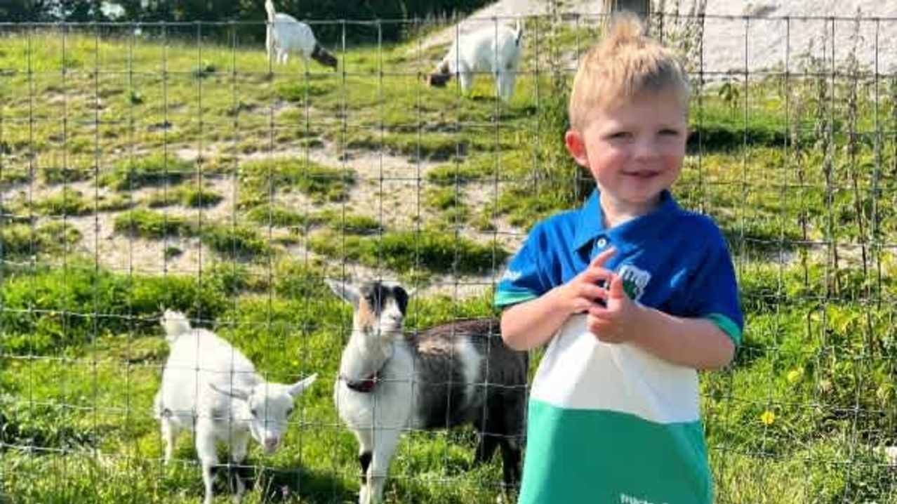 Cholderton Rare Breeds Farm | Day Out With The Kids
