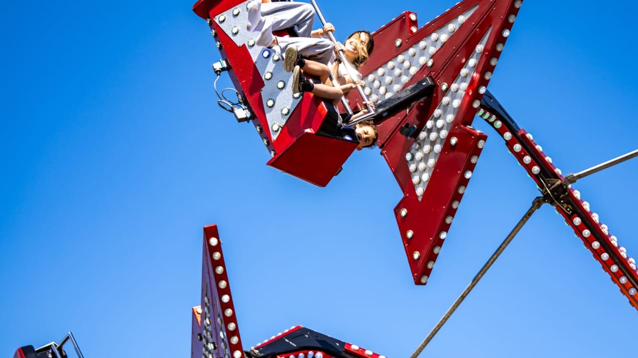The Web Adventure Park - Ultimate Family Day Out