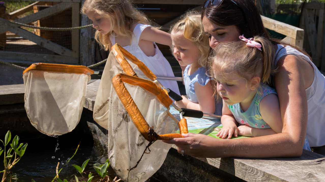 WWT Llanelli Wetland Centre | Day Out With The Kids