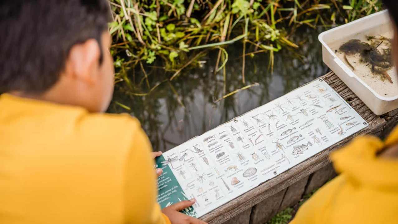 WWT Llanelli Wetland Centre | Day Out With The Kids