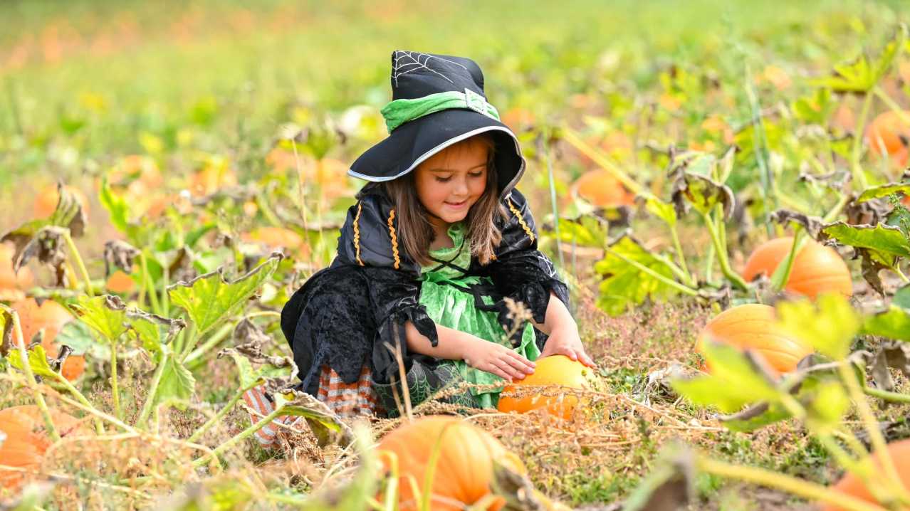 Halloween Farm: An American Adventure | DOWTK