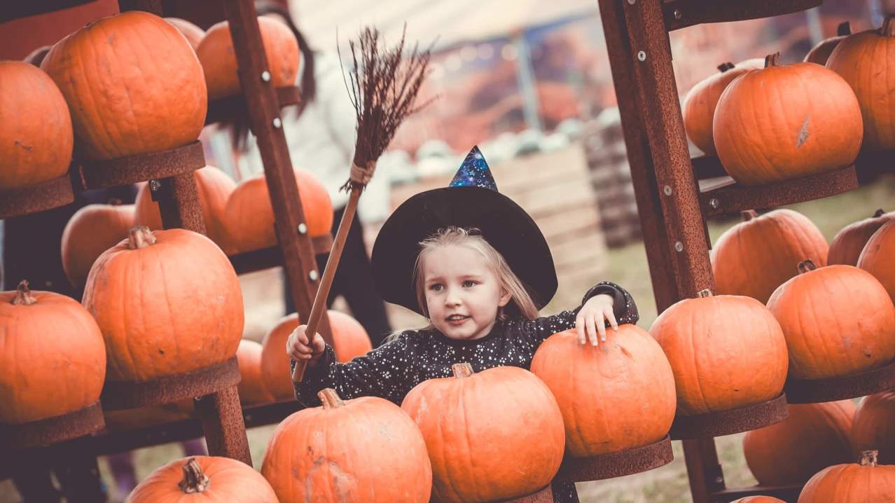 Halloween Farm | Day Out With The Kids