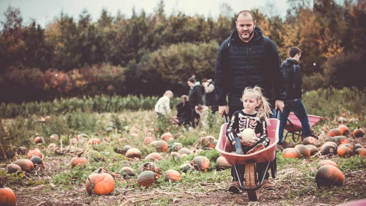 Halloween Farm | Day Out With The Kids