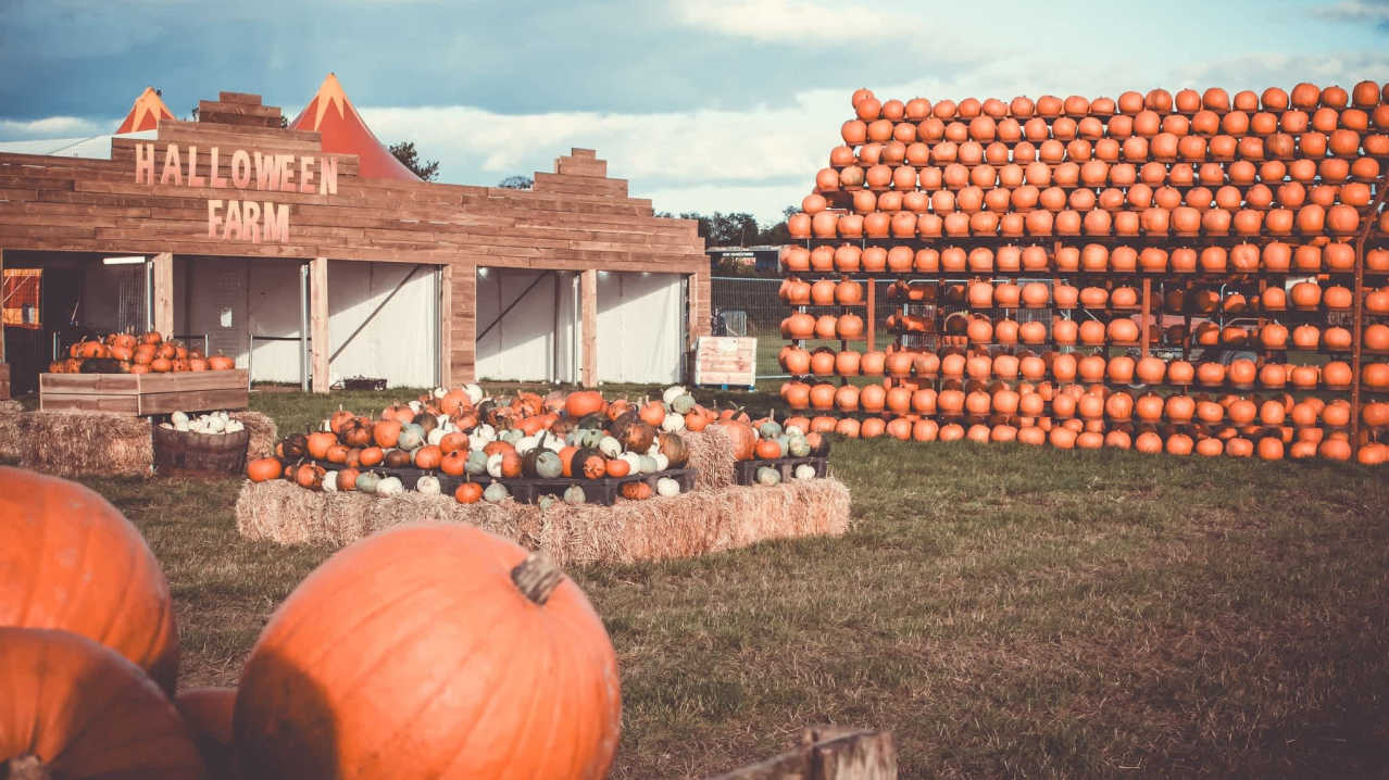 Halloween Farm | Day Out With The Kids