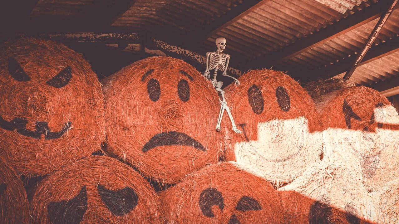 Halloween Farm | Day Out With The Kids