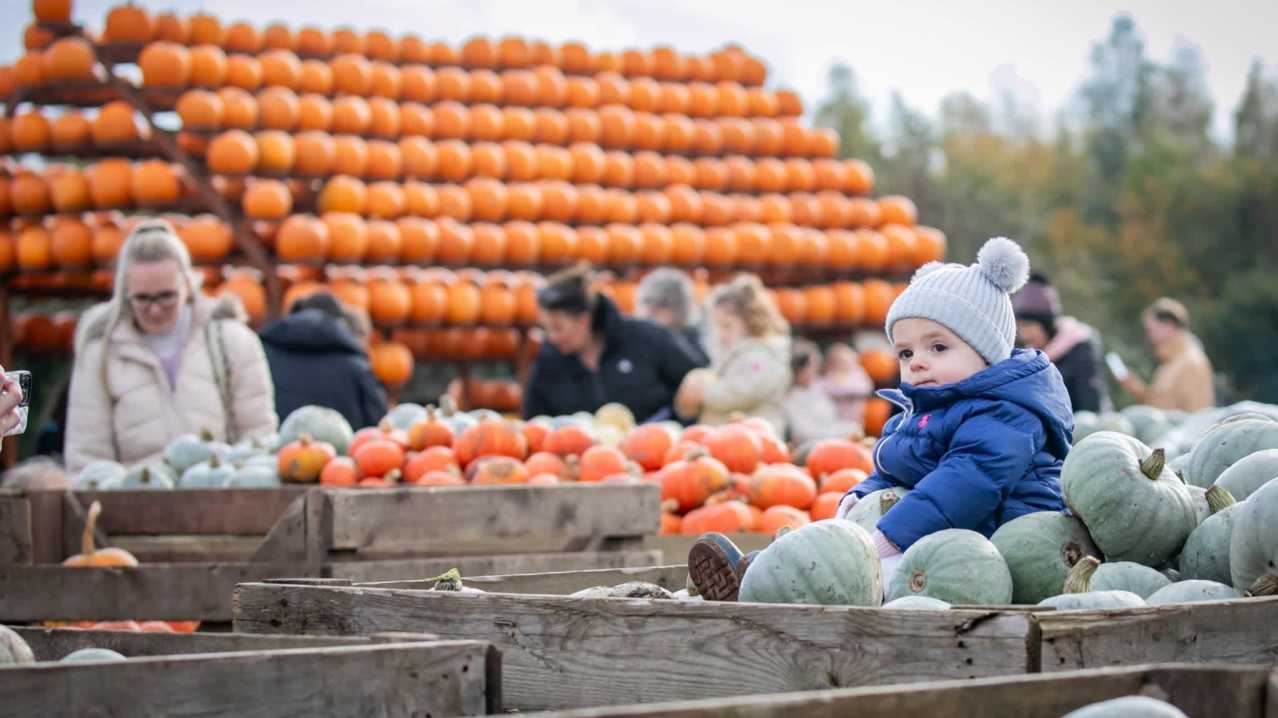Halloween Farm | Day Out With The Kids