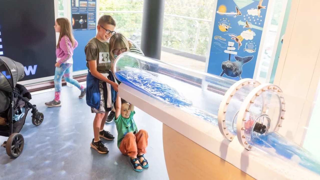 Eureka! Science + Discovery | Day Out With The Kids