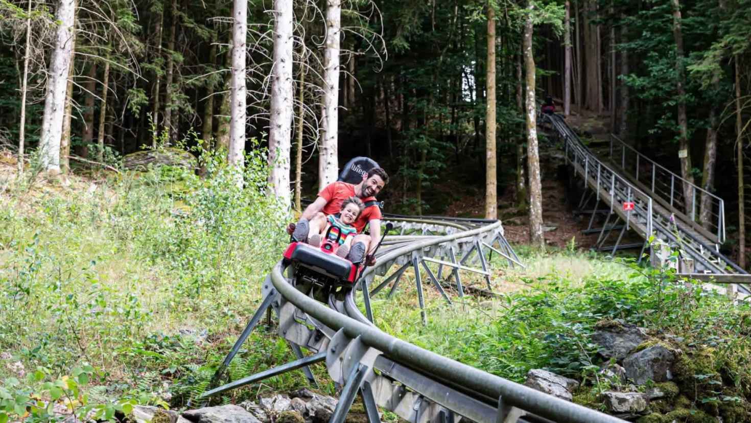 Zip World Betws-y-Coed Tickets | Top Adventure Deals Online