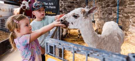 Ark Open Farm | Day Out With The Kids