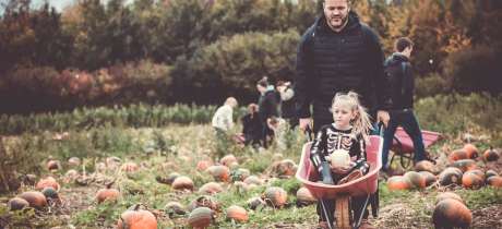 Halloween Farm | Day Out With The Kids