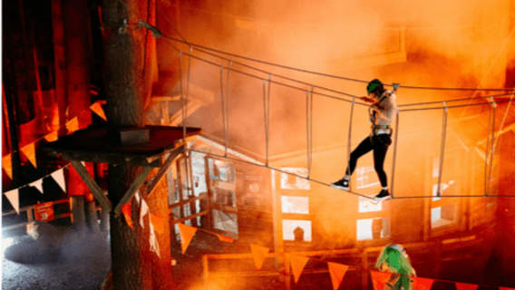 Zip World Tickets & Locations – UK Family Adventures