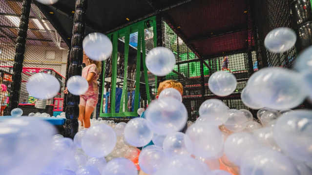 Freedog Swindon | Day Out With The Kids