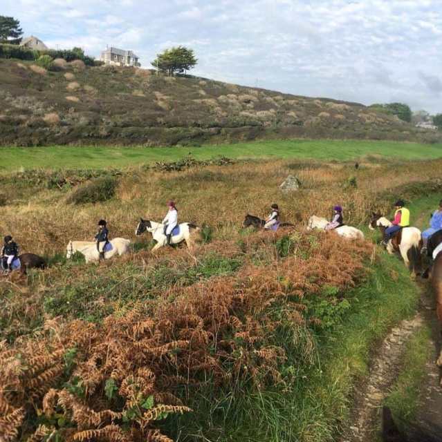 Newton Equestrian | Day Out With The Kids
