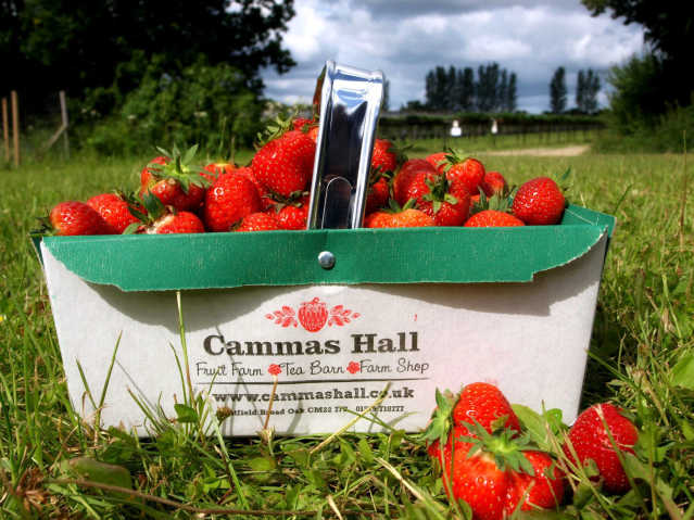 Cammas Hall Farm | Day Out With The Kids