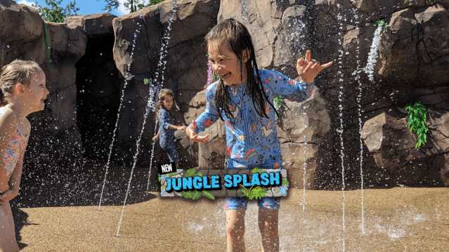 Knockhatch Adventure Park | Hailsham - All You NEED To Know