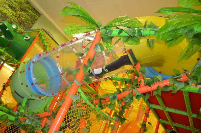 Jungle Monkeyz | Day Out With The Kids