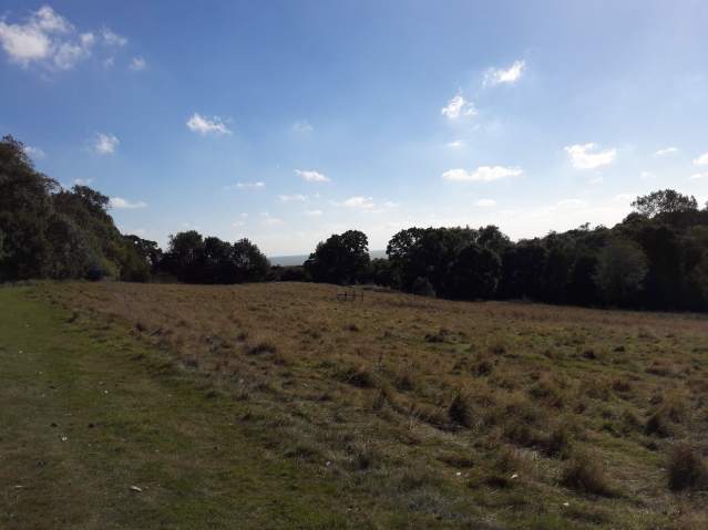 Brockhill Country Park | Day Out With The Kids