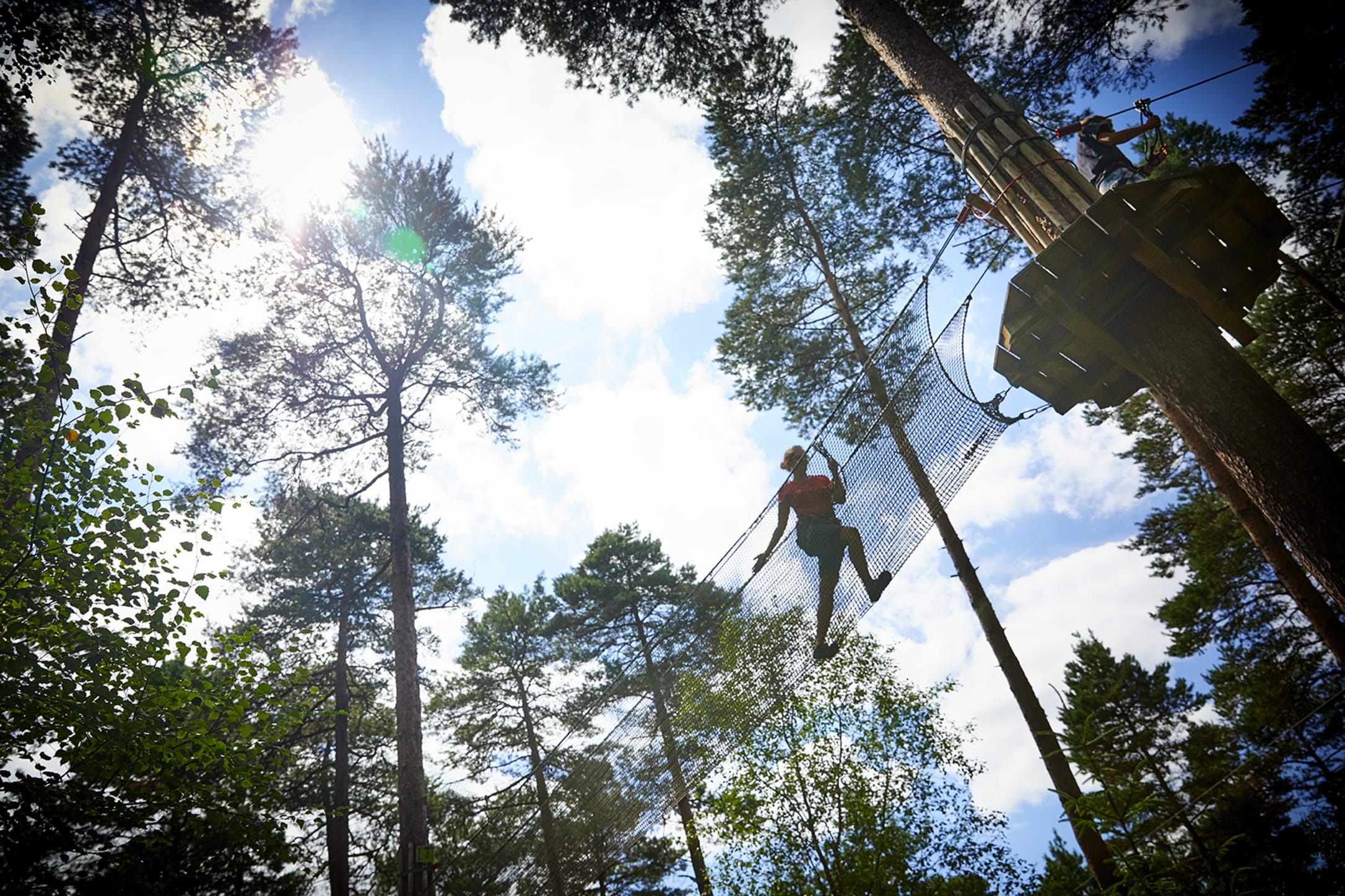 Go Ape Haldon - everything you need to know!