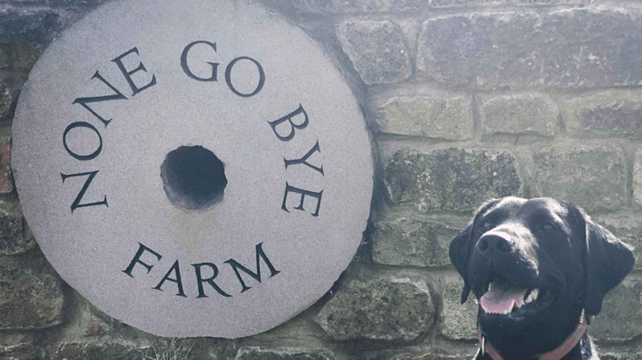 None Go Bye Farm