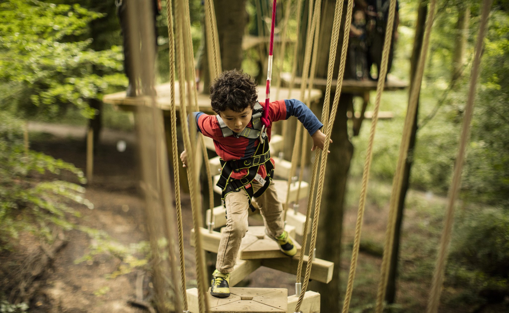 Zip World Manchester Tickets | Treetop Adventure