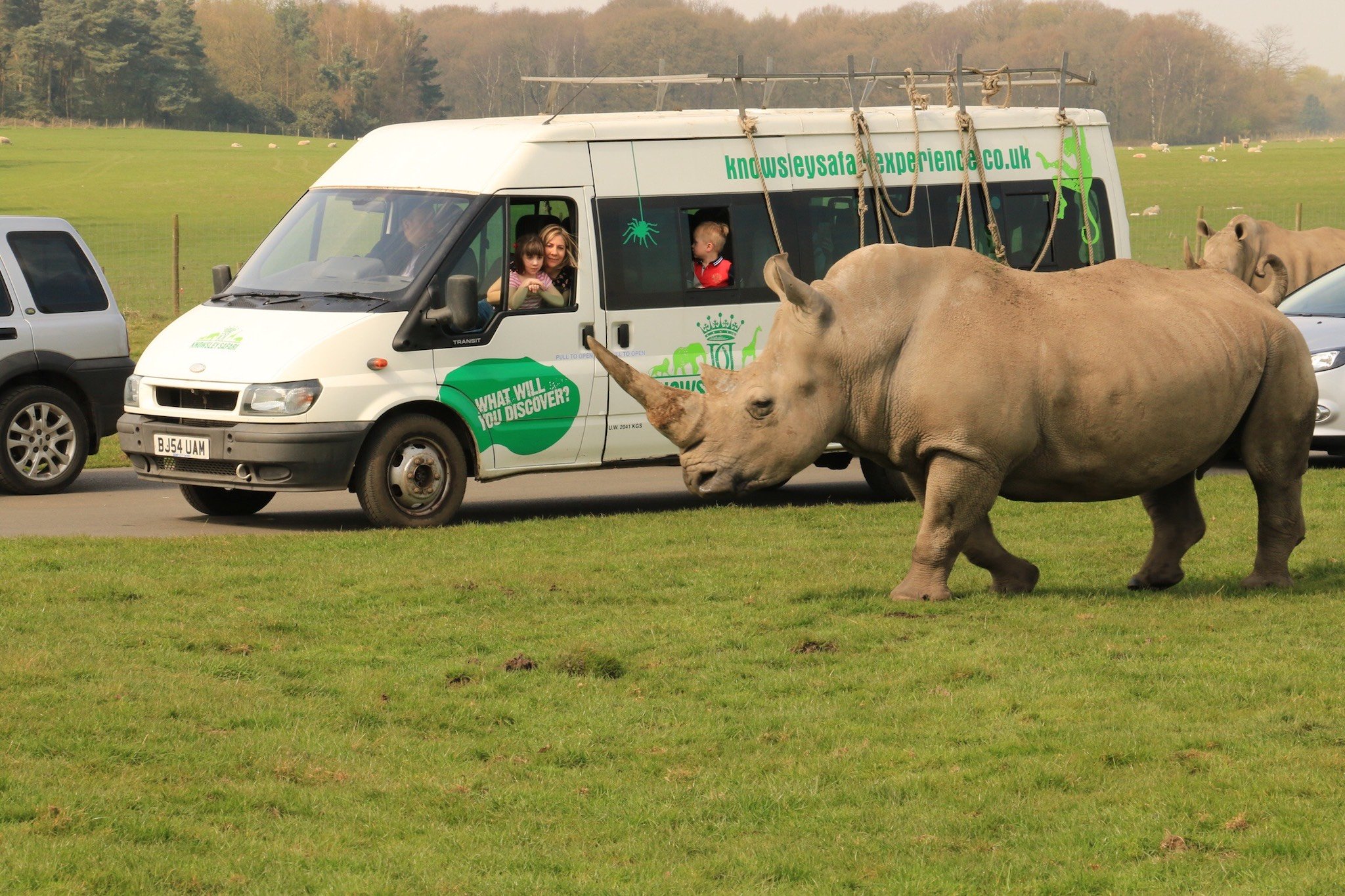 Knowsley Safari Park Logo On The Tiger Trail At Knowsley Safari Park