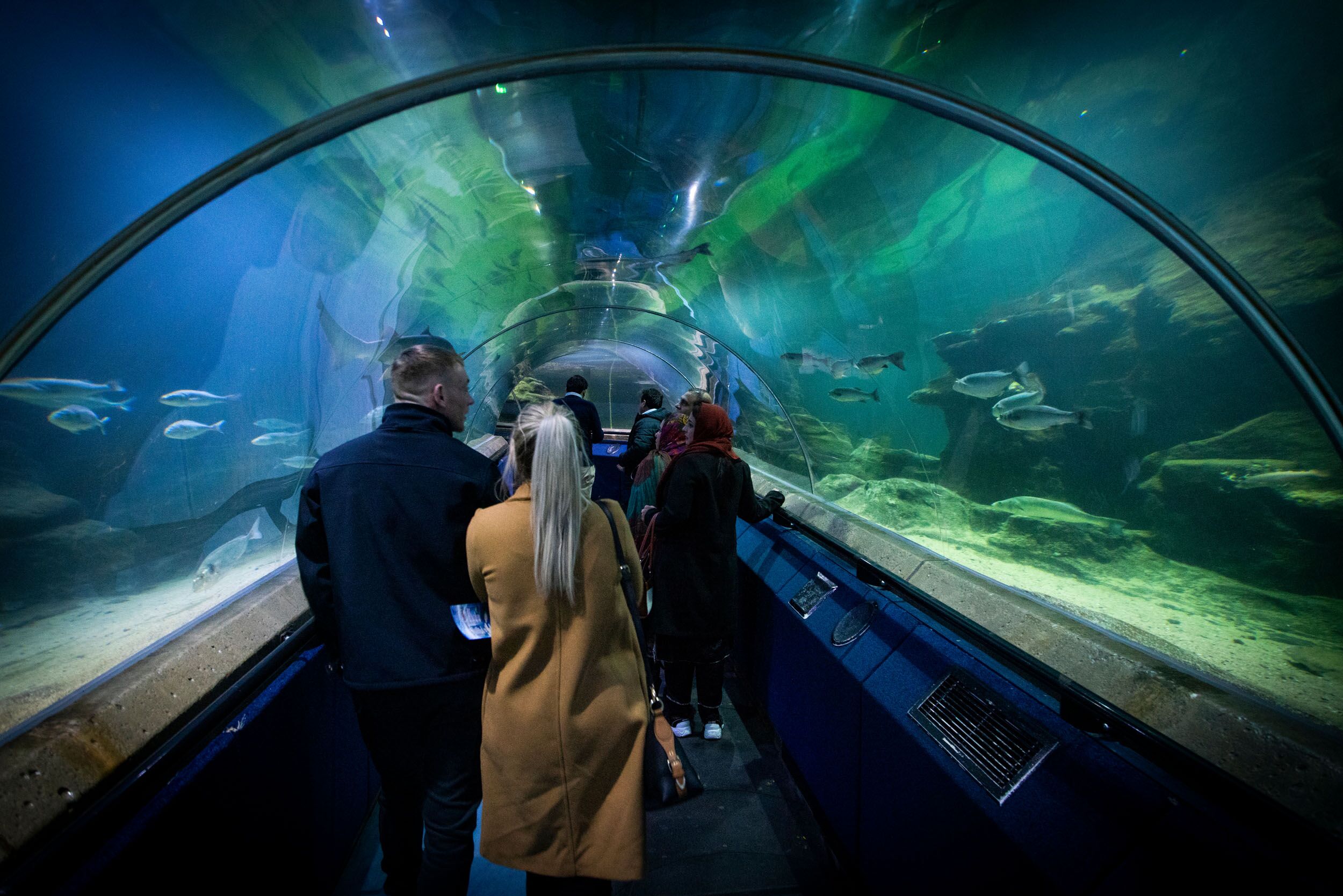 Deep Sea Water Edinburgh