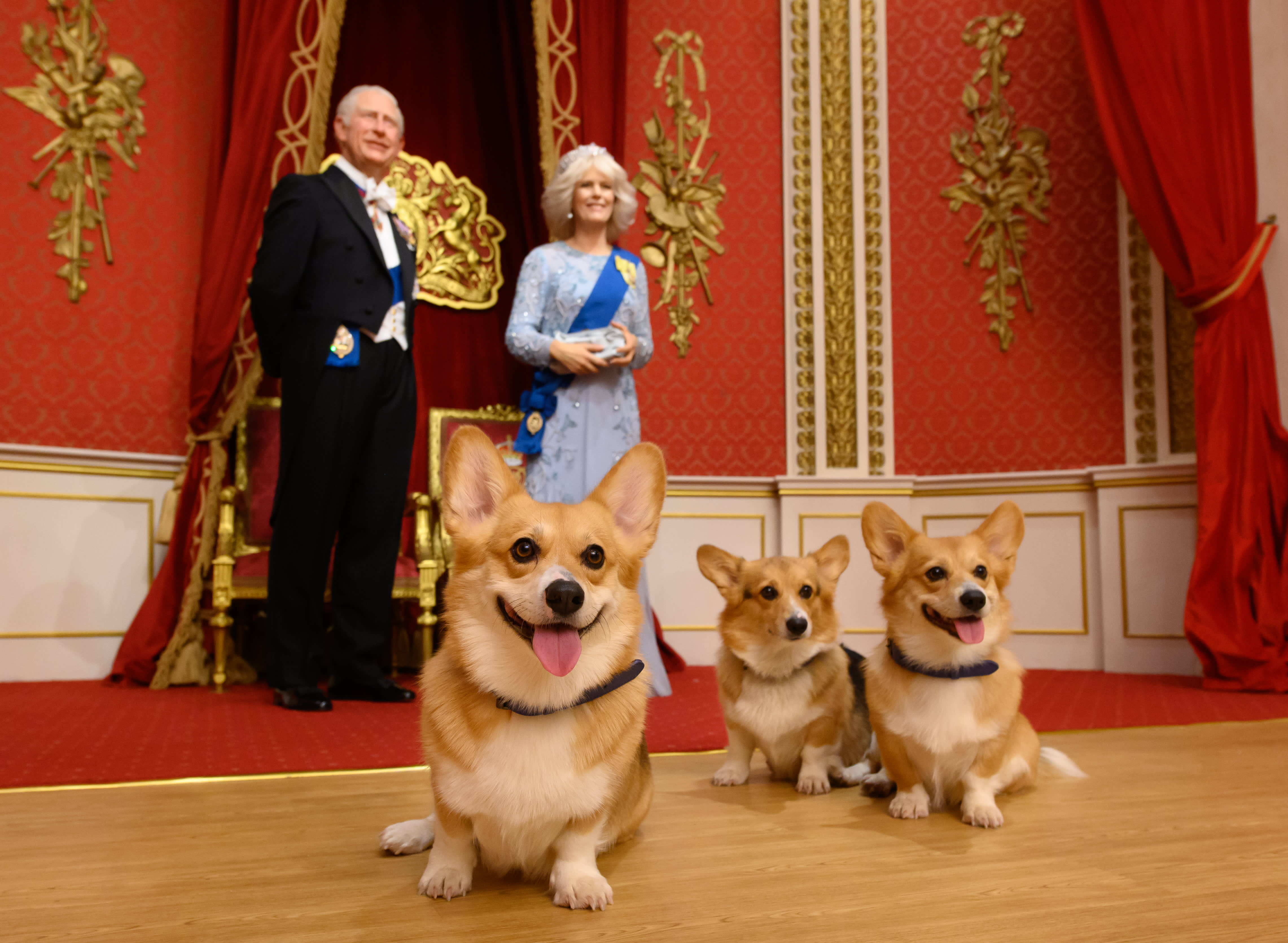 Buy Madame Tussauds Tickets | Best Price | DOWTK
