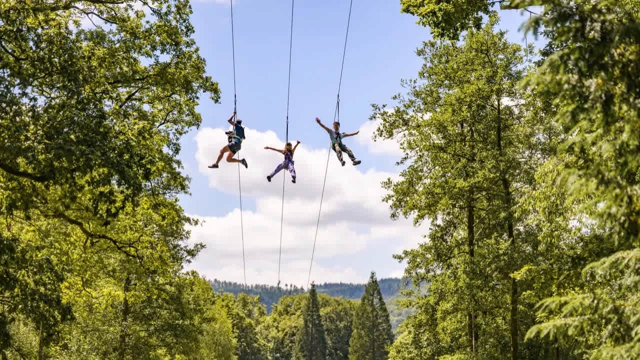 Zip World Windermere Tickets | Bounce Through the Treetops