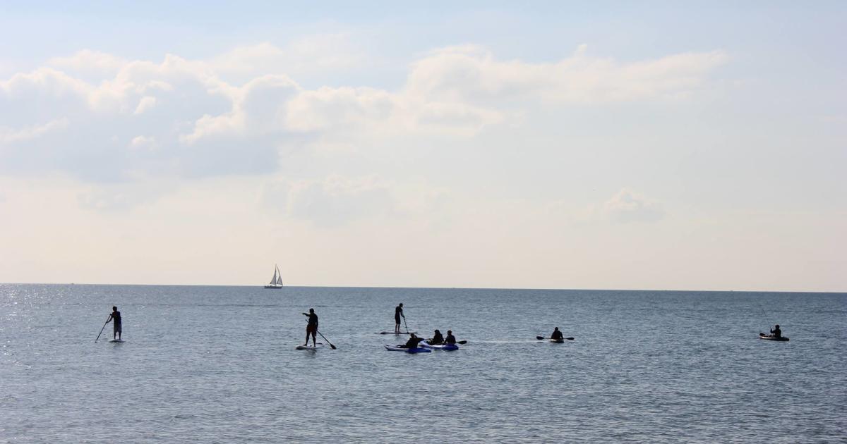 The New Forest Paddle Sport Company | Day Out With The Kids