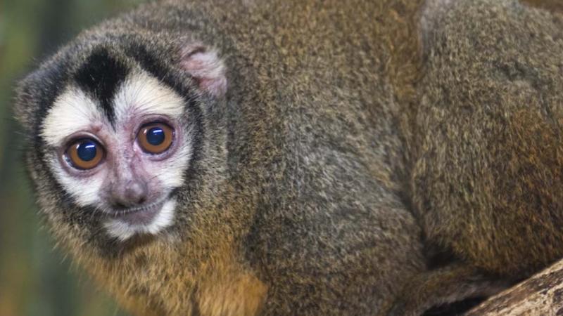 Tropical World Roundhay | Day Out With The Kids