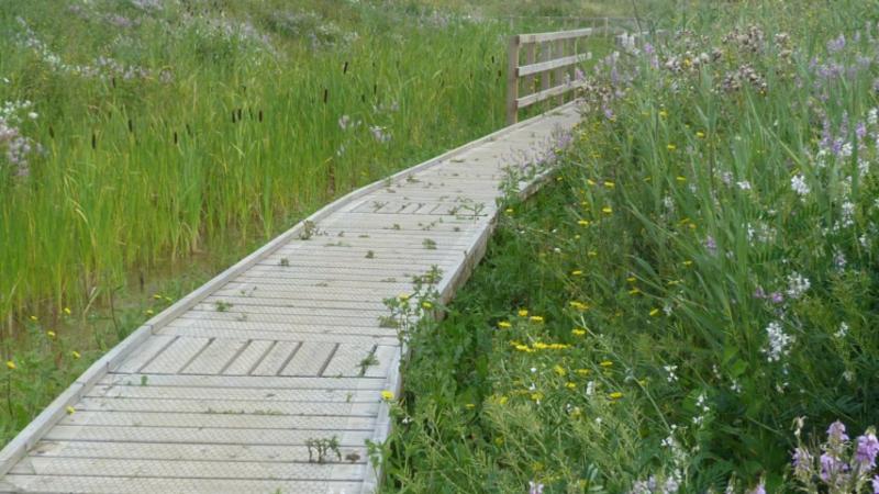 Wat Tyler Country Park | Day Out With The Kids