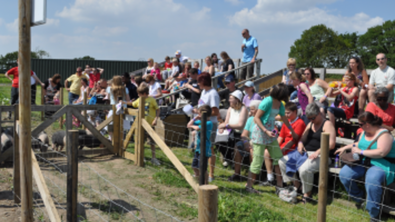 Apple Jack's Adventure Farm | Day Out With The Kids