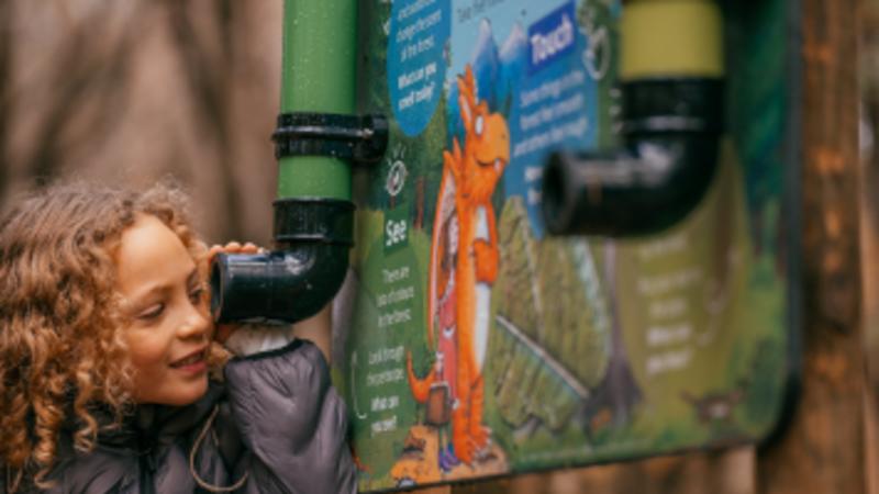 Whinlatter Forest | Day Out With The Kids