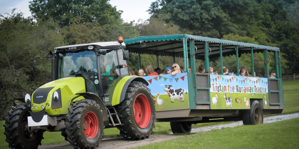 20 Best Things To Do In Surrey Near Me | Attractions in Surrey | Day ...
