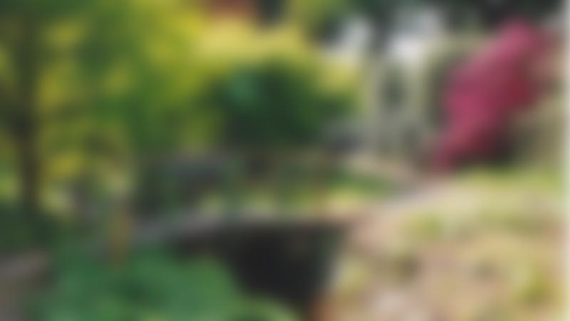 Kailzie Gardens | Day Out With The Kids