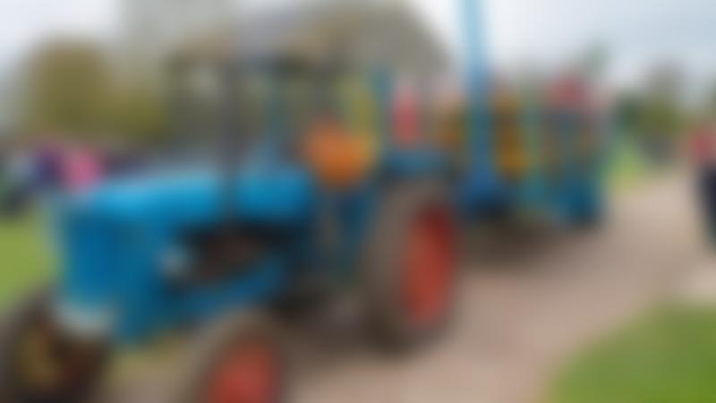 Cholderton Rare Breeds Farm | Day Out With The Kids