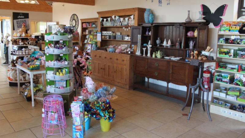 Cholderton Rare Breeds Farm | Day Out With The Kids