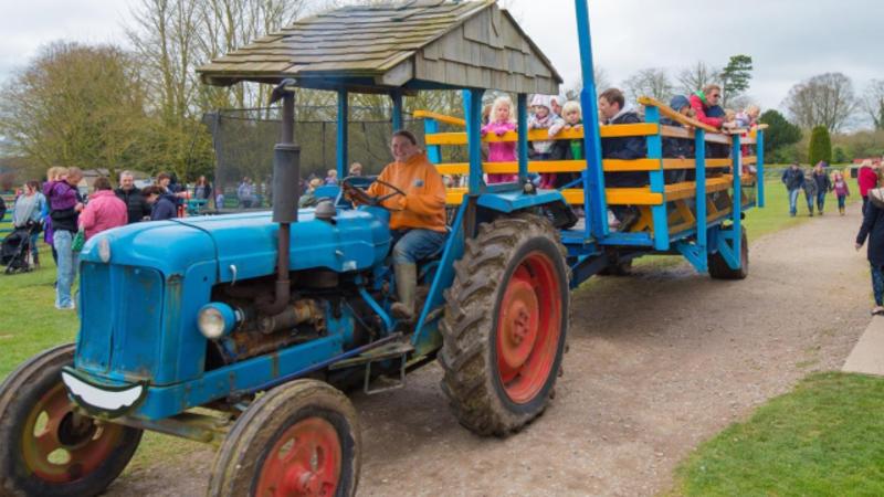 Cholderton Rare Breeds Farm | Day Out With The Kids