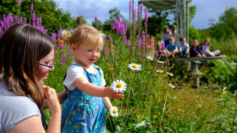 WWT Washington Wetland Centre | Day Out With The Kids