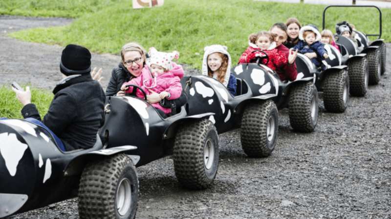 National Forest Adventure Farm | Day Out With The Kids