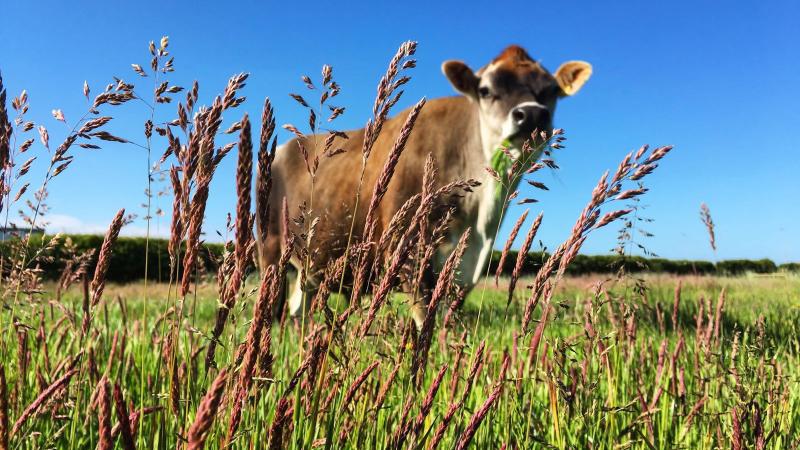Farmer Parr's Animal World | Day Out With The Kids
