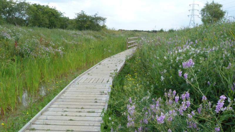 Wat Tyler Country Park | Day Out With The Kids